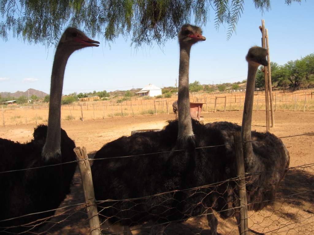 Erica in Wonderland | One girl's adventure throughout Asia and beyond