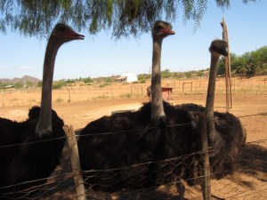 Erica in Wonderland | One girl's adventure throughout Asia and beyond